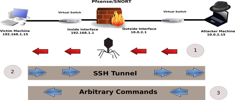 Creating an Undetectable Custom SSH Backdoor in Python [A – Z] | Lifeforce Software: Tips and ...